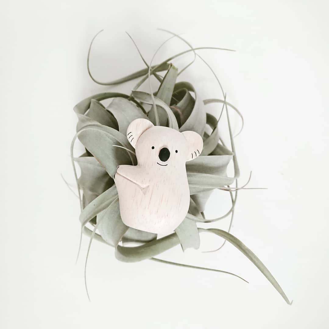Pole pole wooden animal Koala – Slow Pharmacy